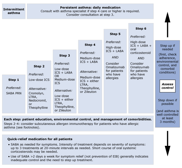 Asthma Clinical Manifestations And Management